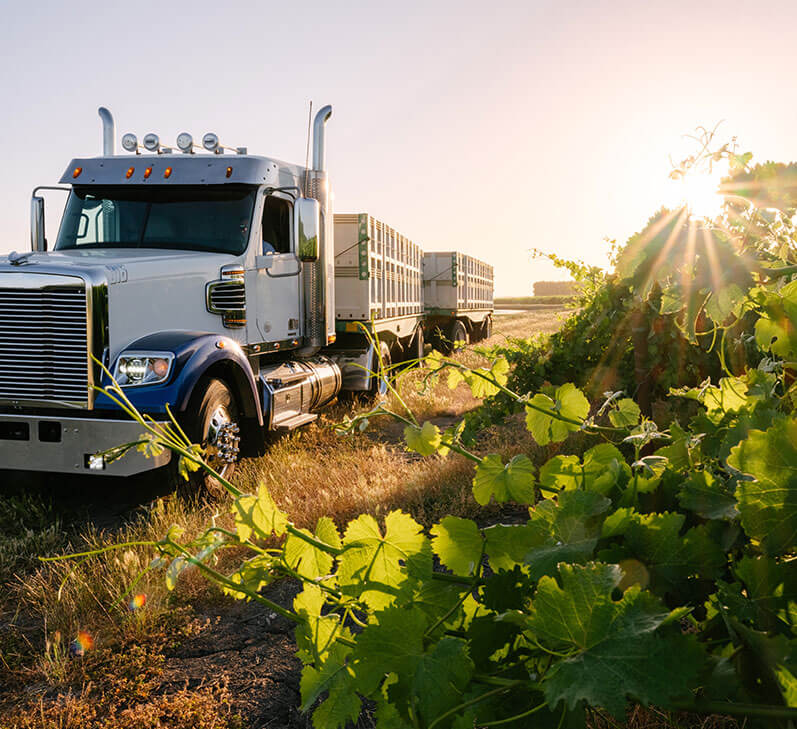 Creative, Integrated Solutions for Ag and Beverage Industries | G3 ...