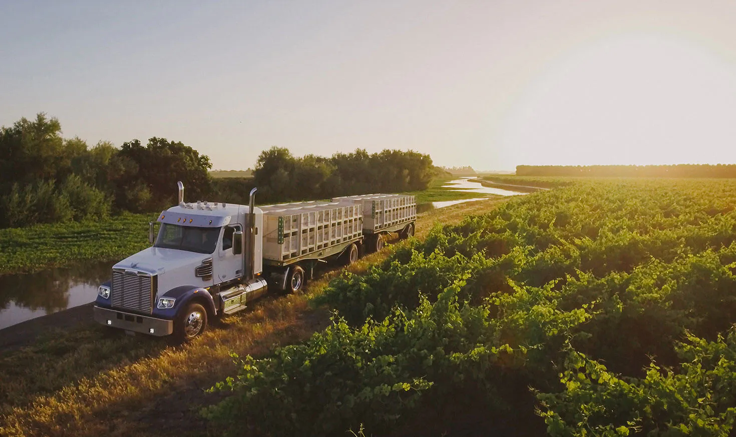 G3 Enterprises | Expert Wine Solutions Tailored to Your Needs
