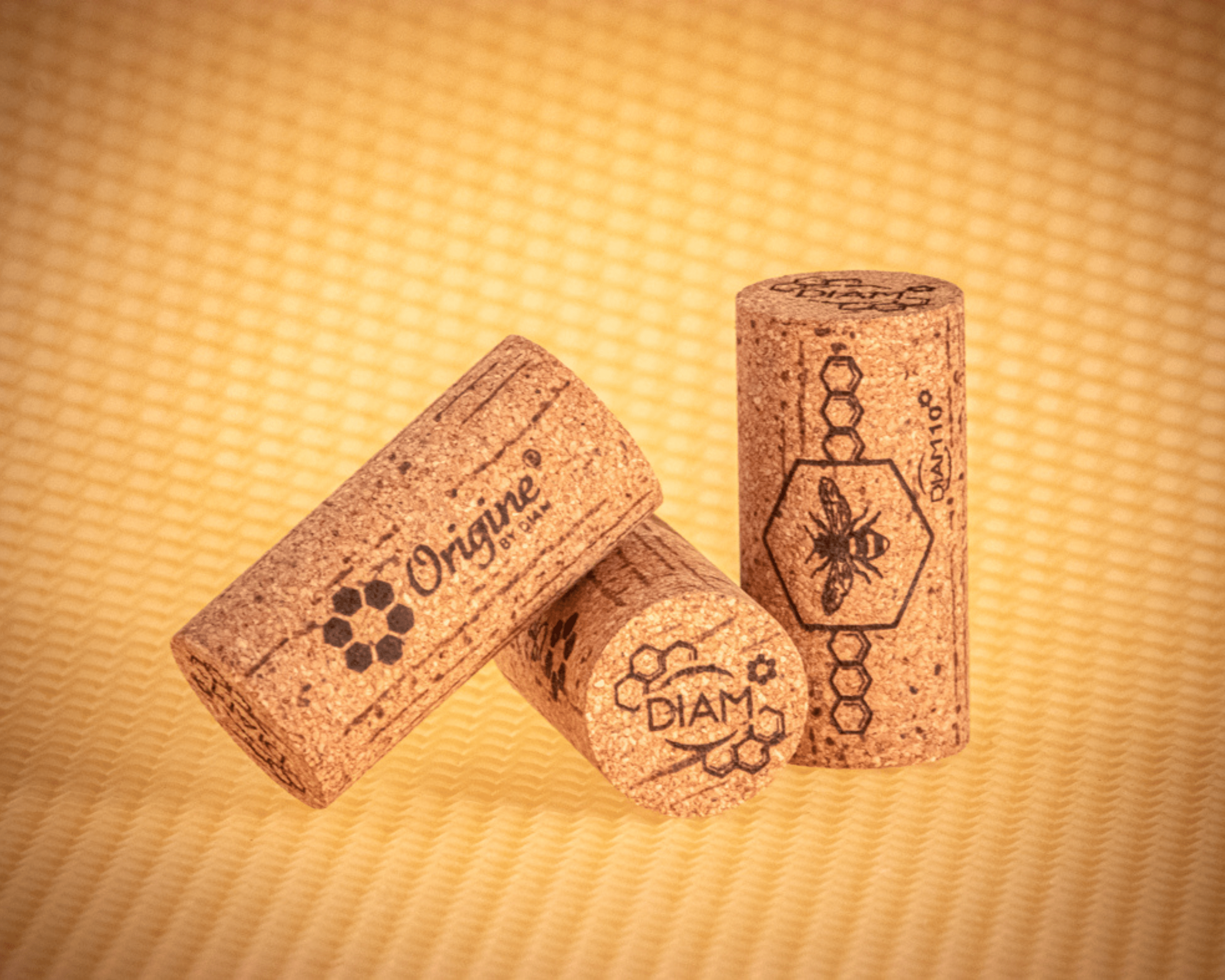 DIAM, the new tradition