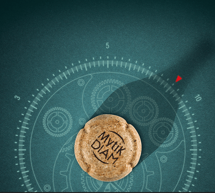 Sparkling Glass Wine Bottle Mold 2025